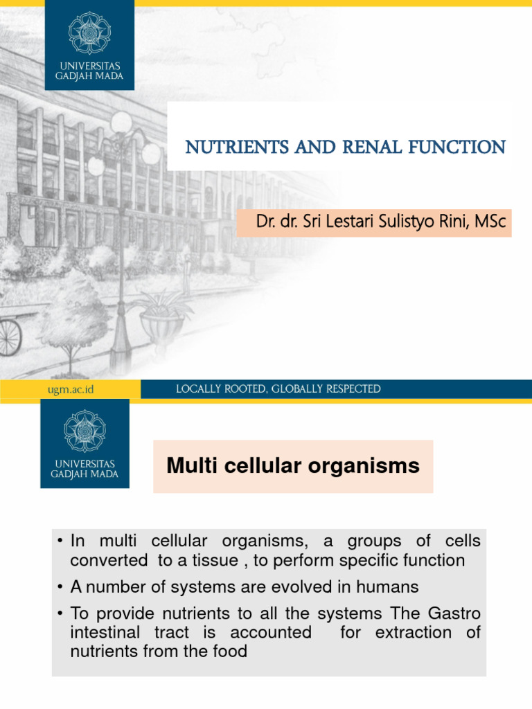Lecture 19-Nutrients Renal Functions-Dr. Dr. Sri Lestari S. R., M.SC ...