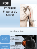 Incidência TÓRAX Parte 2 PDF | PDF | Pulmão | Raio X