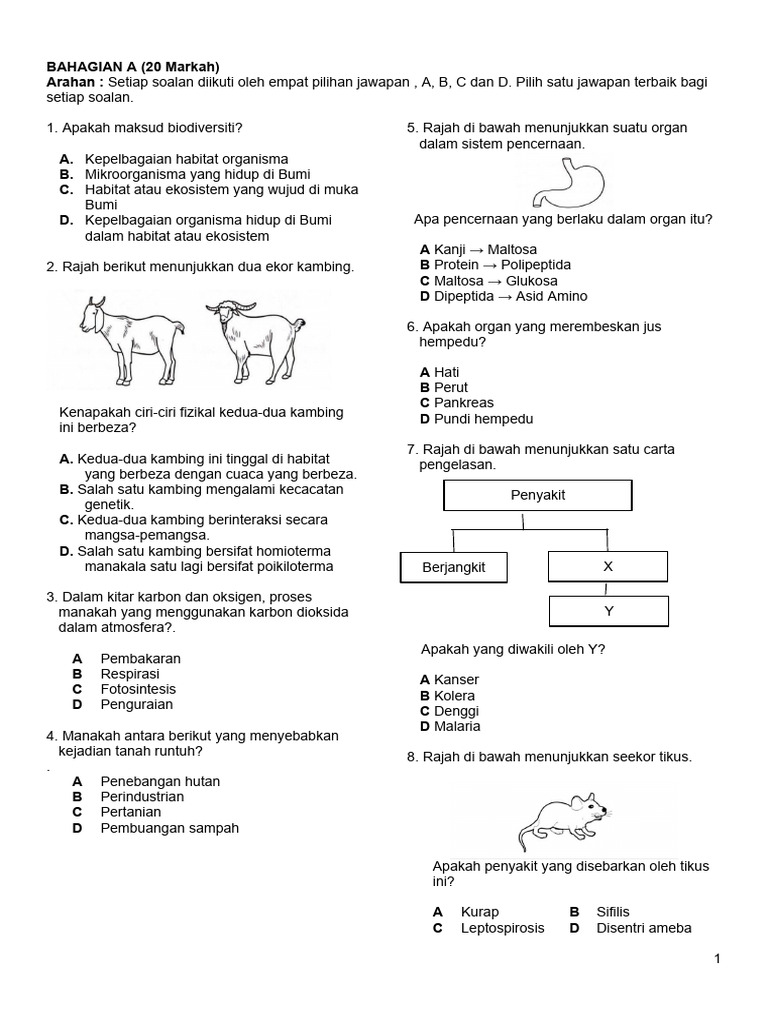 Soalan PPT SN F2 | PDF