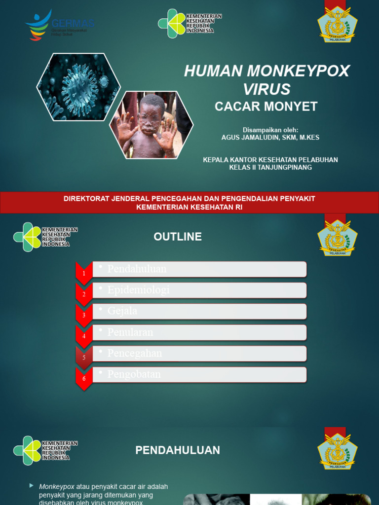 Monkeypox | PDF