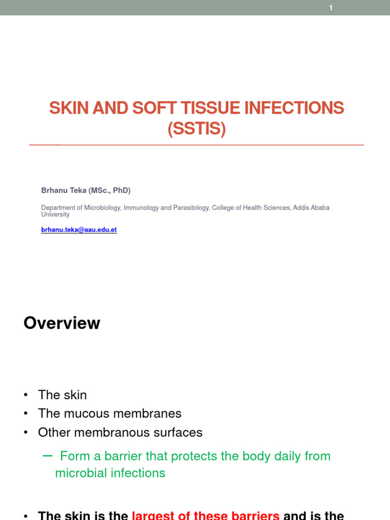 Skin and Soft Tissue Infections - BT | PDF