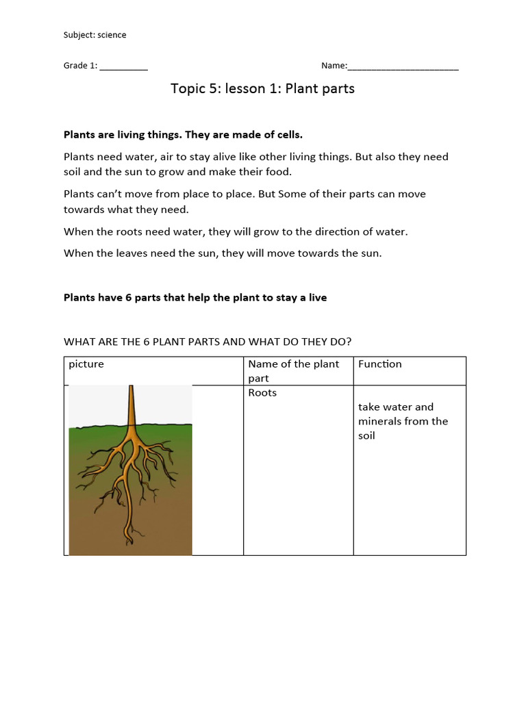 KpJ9sI HMW 1631762265 Topic 5 Lesson 1 Summery - Part 2 | PDF | Plants ...