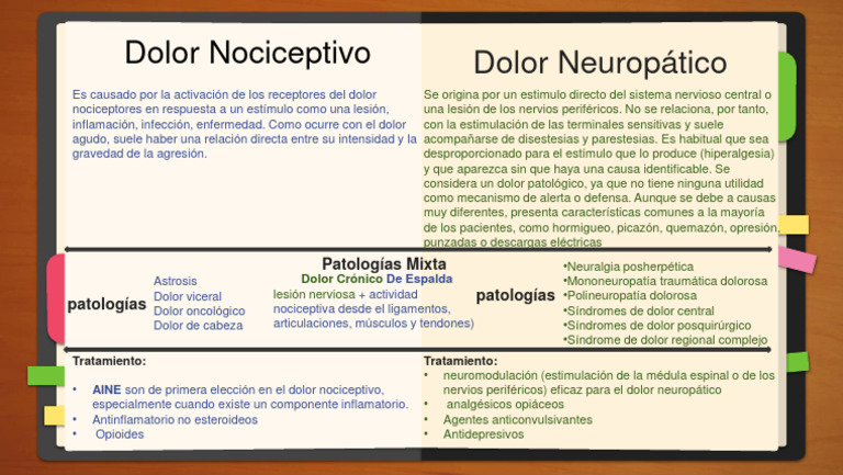 Dolor Neuropático y Dolor Nociceptivo | PDF