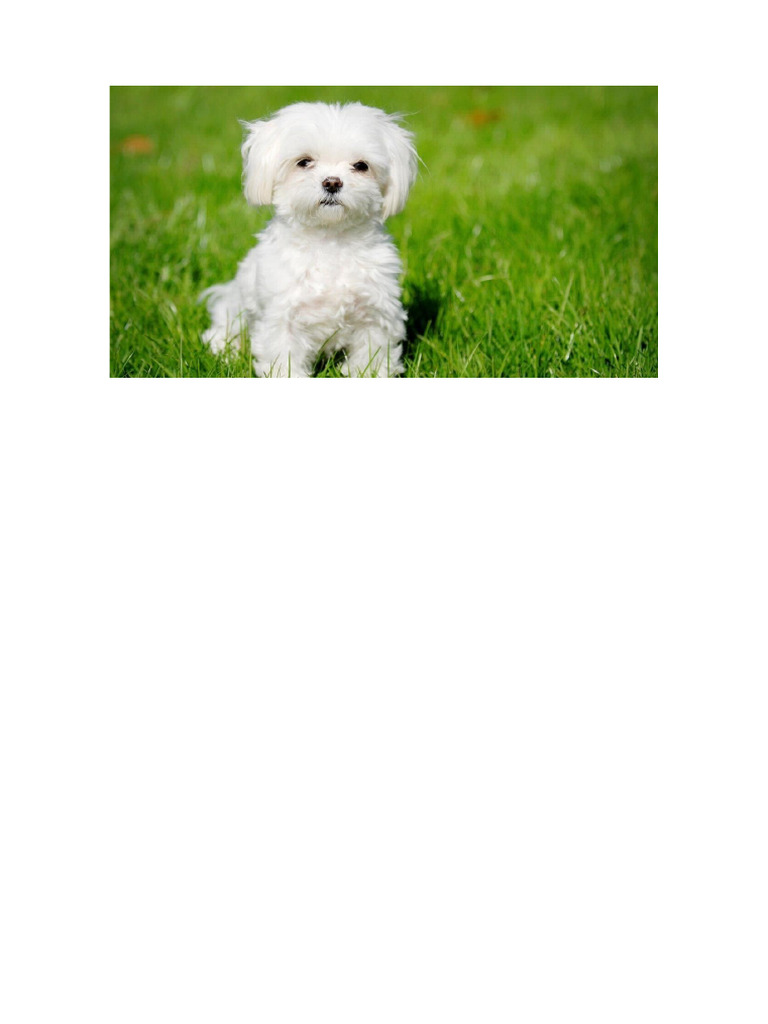 !2324 DDFSF 4343 DFDF | PDF