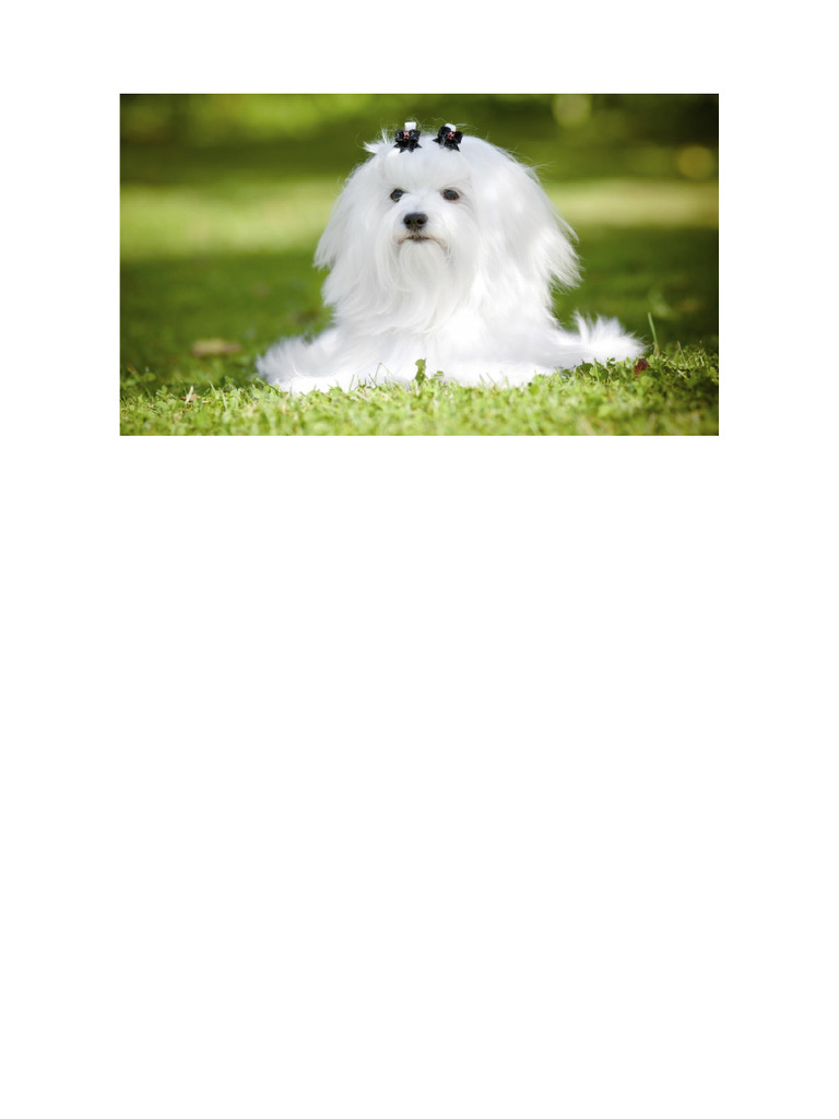 !!!3 D 4!d 34 DFDF 4 | PDF