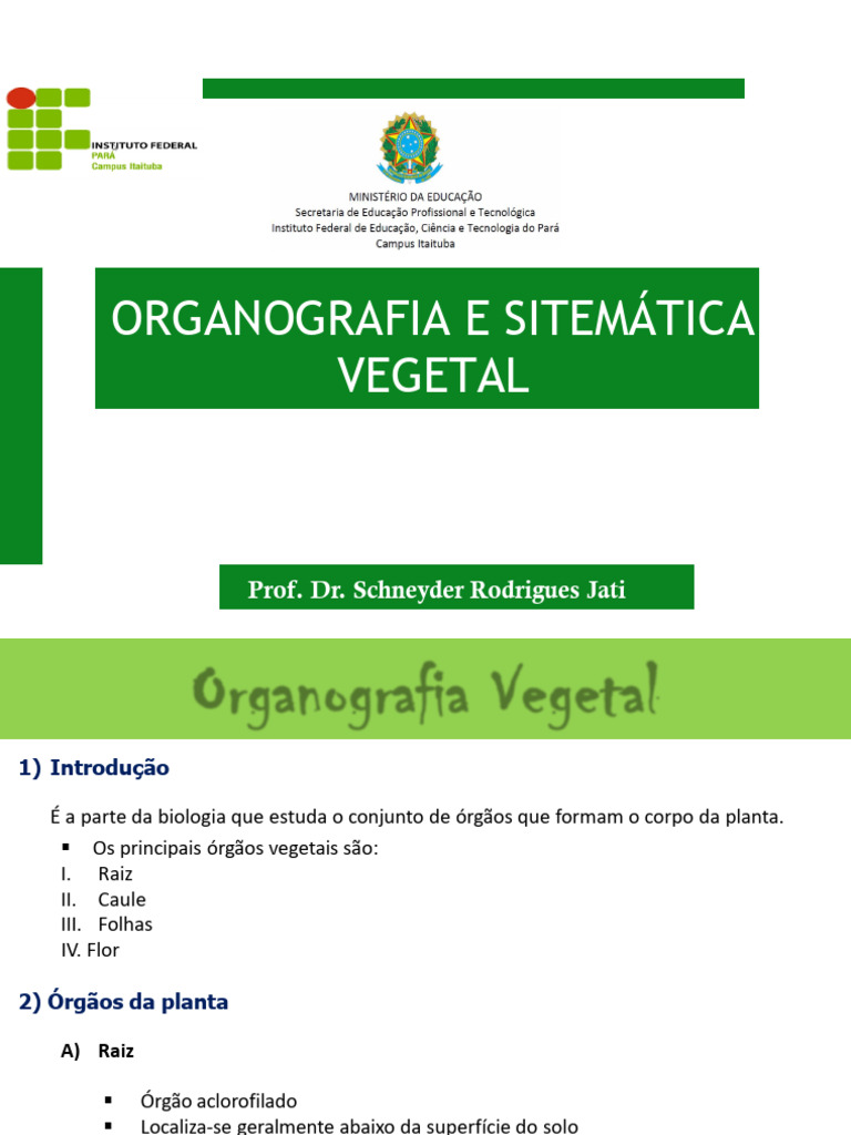 1 Organografia Vegetal | PDF