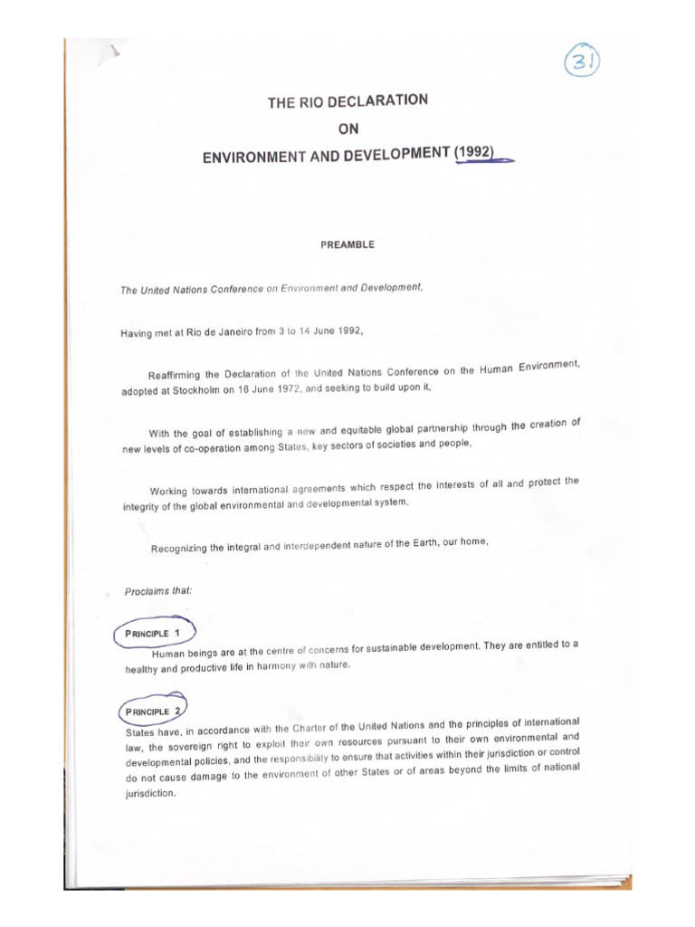 The Rio Declaration | PDF