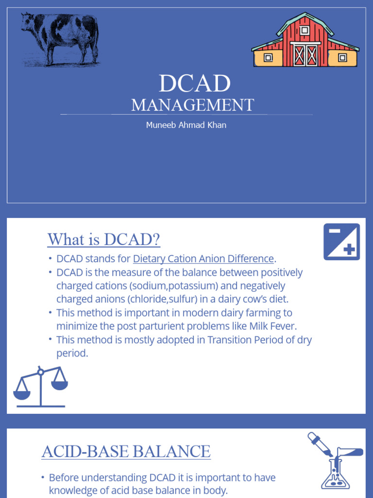 Understanding DCAD in Dairy Cows | PDF | Ion | Chloride