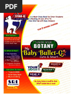 Ipe Physics Bullet Baby | PDF