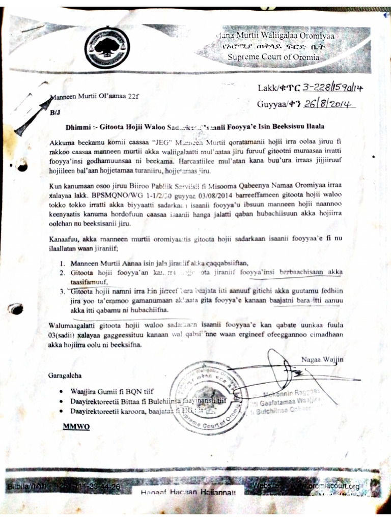 Caasaa Waloo Fooyya'e | PDF