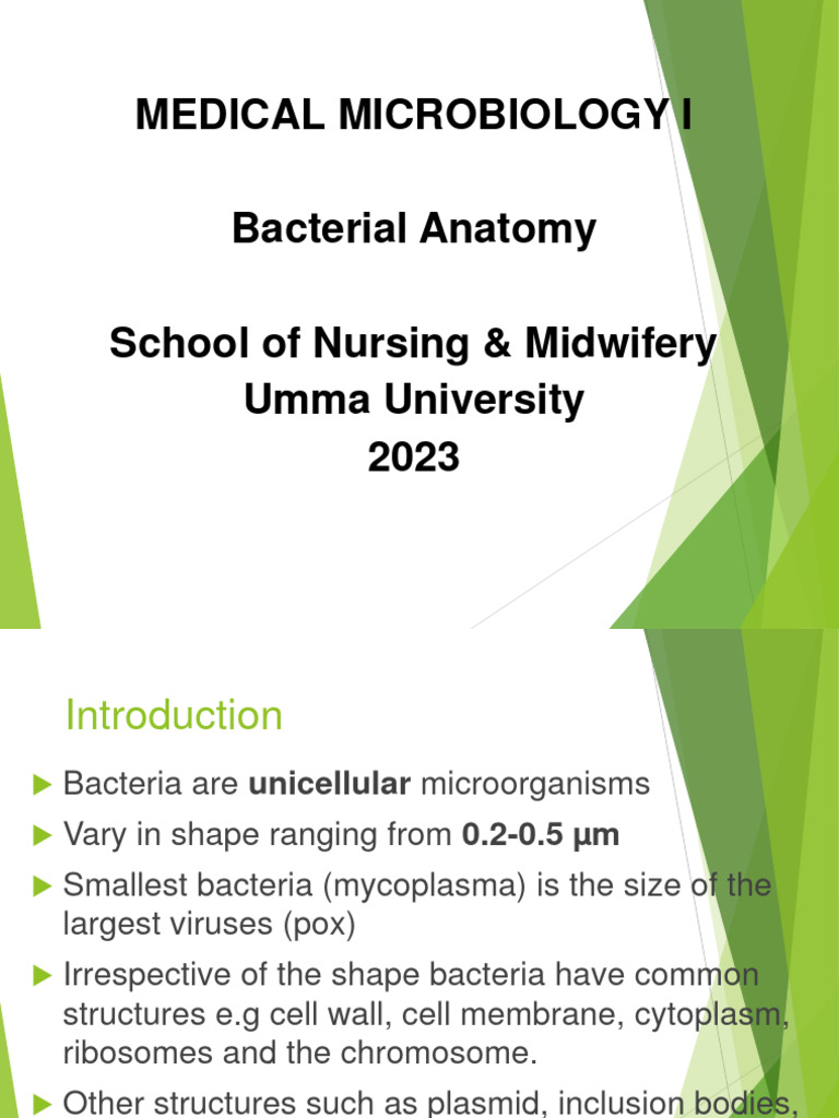 Microbial Anatomy | PDF