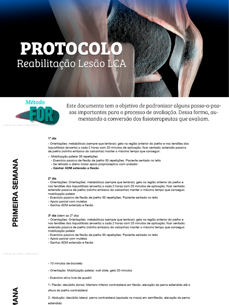 Protocolo Lca Amir | PDF | Joelho | Anatomia dos membros inferiores