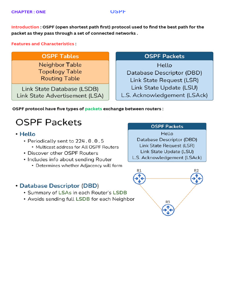 Module Ospf Pdf