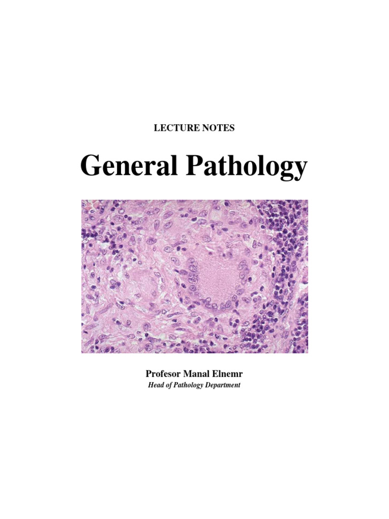 GMD Final 2022-2023 | PDF