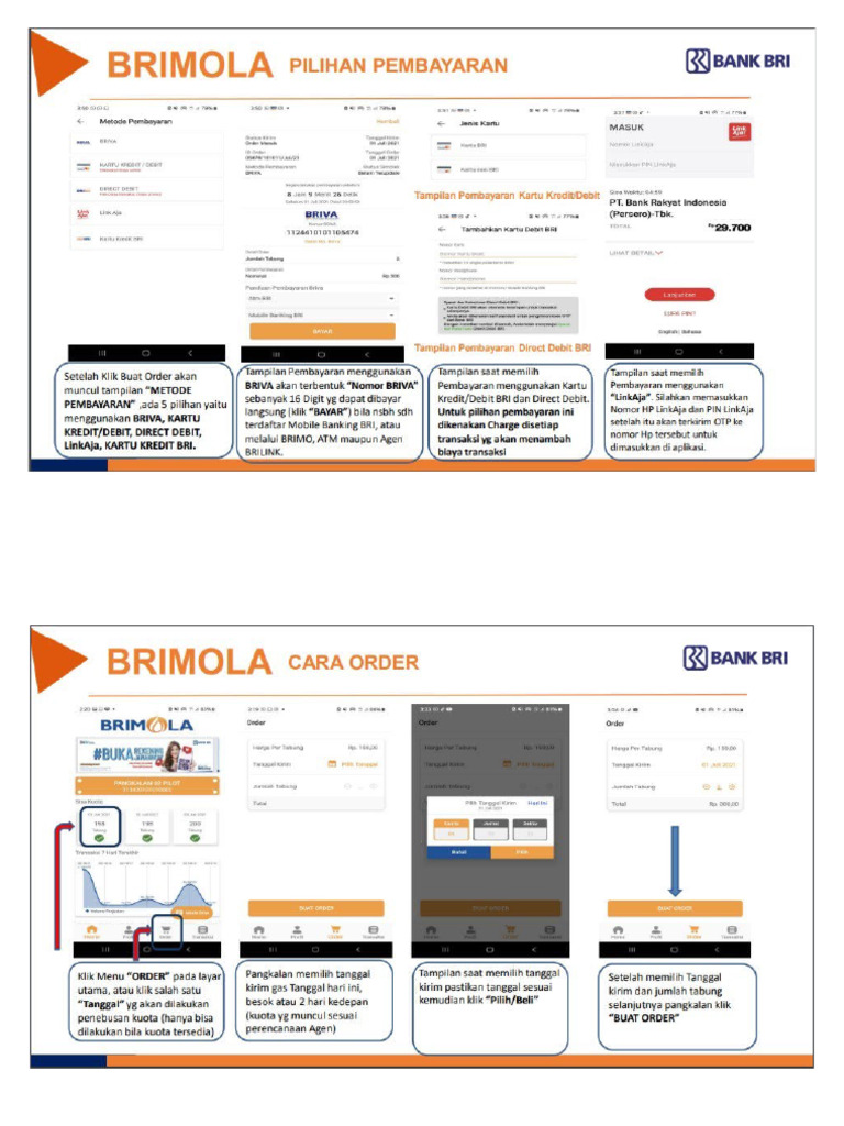 BRIMOLA | PDF