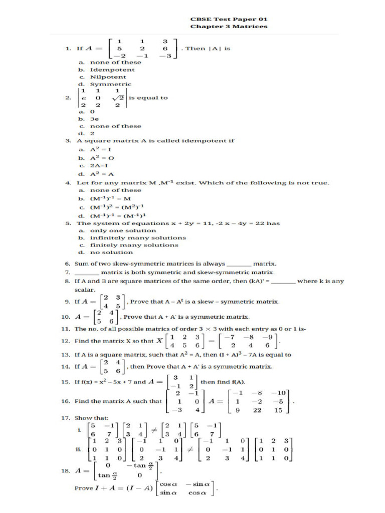 Matrix and Determinants Worksheet | PDF