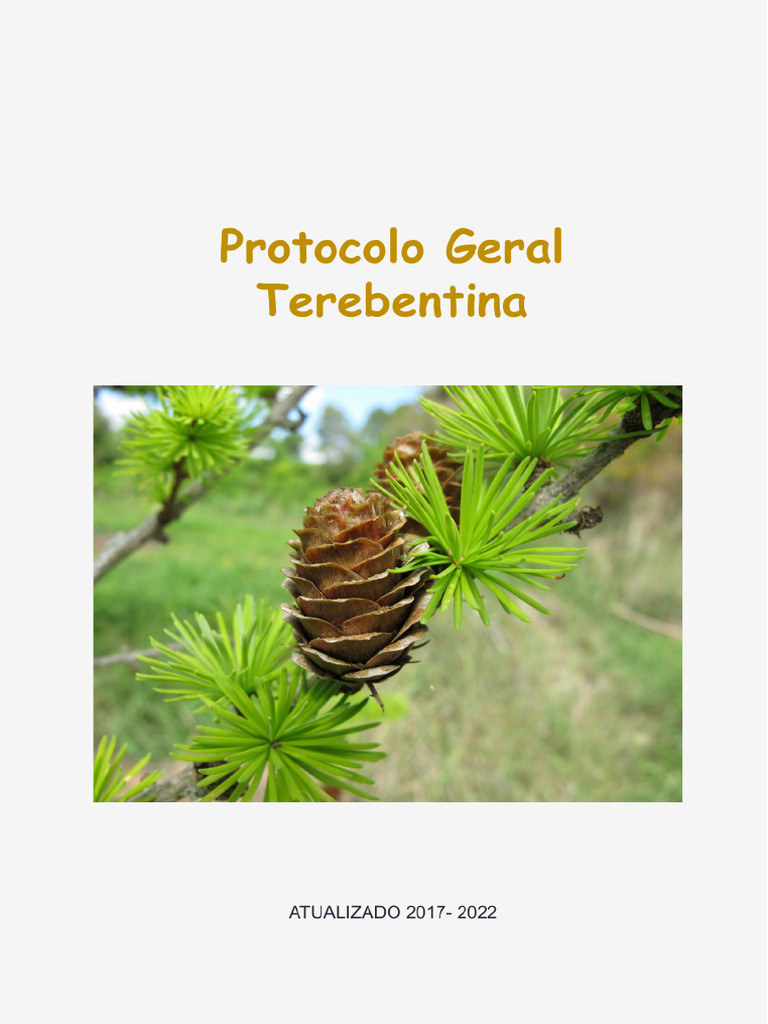 Português-Protocolo Geral Terebentina 2017 - 221121 - 114857 | PDF | Tempo | Parasitismo