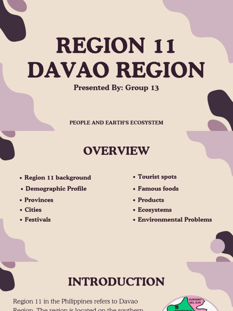 Region 11 Davao Region | PDF