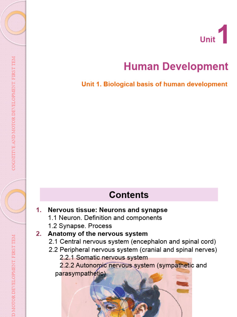 2 - Unit 1 - Biological Basis of Child Development | PDF
