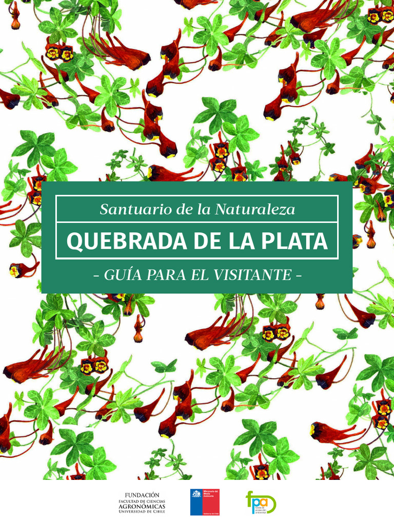 Guía de Campo, Quebrada de La Plata | PDF | Chile | Los bosques