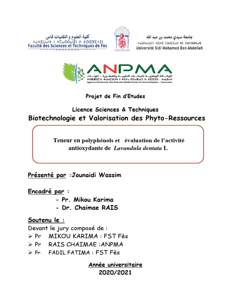 Projet de Fin D'etude Version Final (2) - WASSIM | PDF