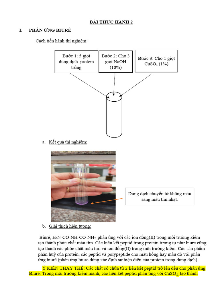 Bài TH C Hành PH N NG Biure | PDF