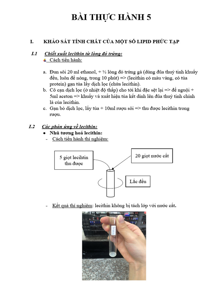Bài TH C Hành KH o Sát Lipip PH C T P | PDF