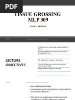 General Grossing Guidelines | PDF | Pathology | Biopsy
