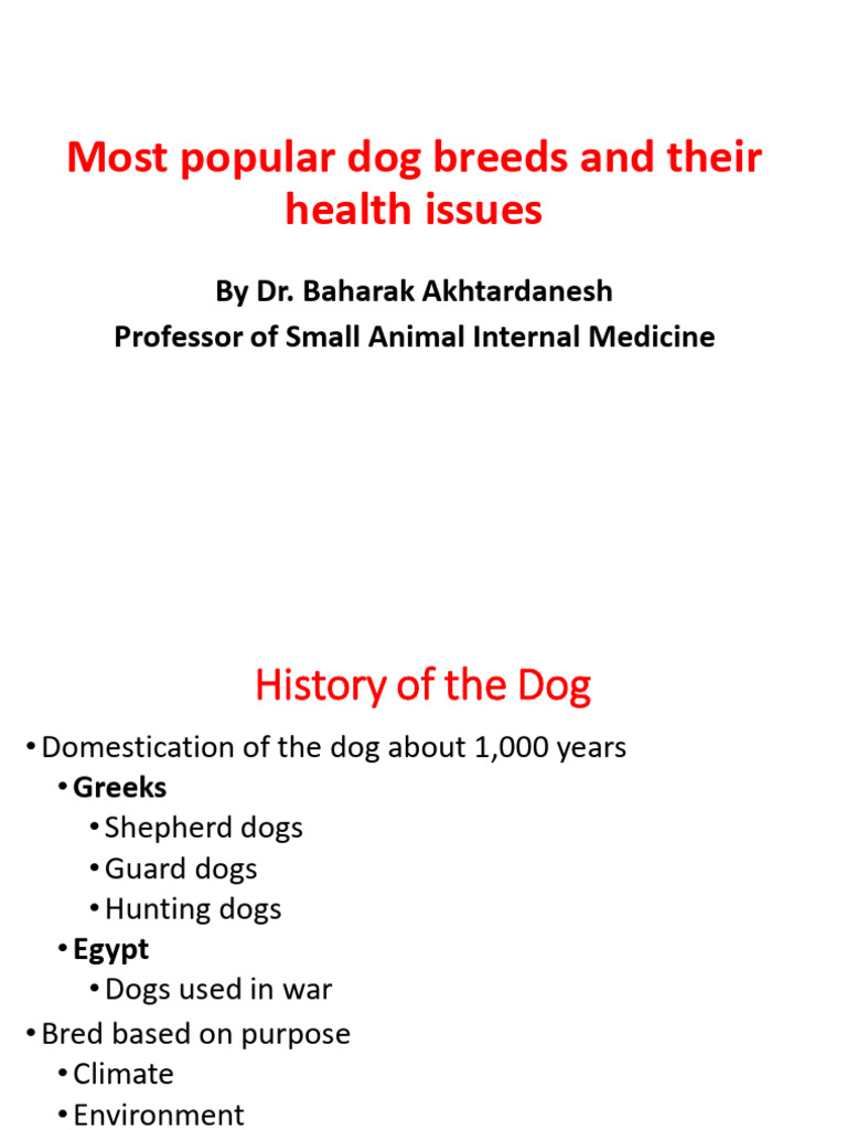 Breeds of Dogs | PDF | Dogs | Dachshund