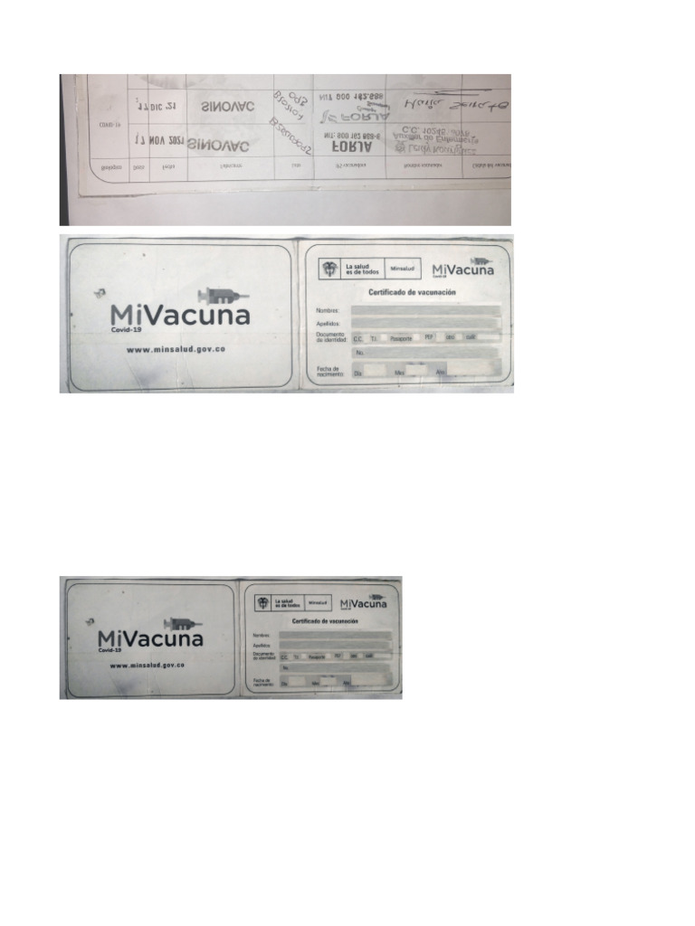 Carnet en Blanco para Llenar | PDF