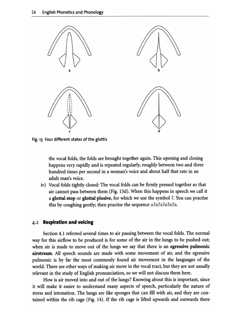 Respiration & Voicing | PDF | Human Voice | Sound Production