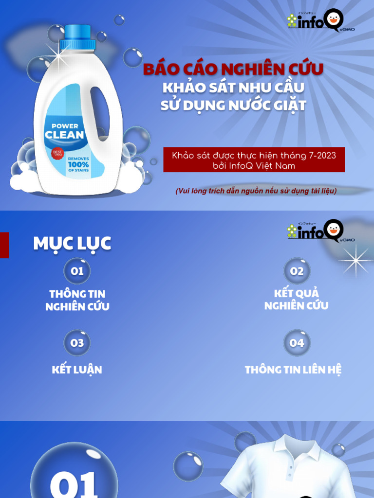 Cleaning Detergents | PDF