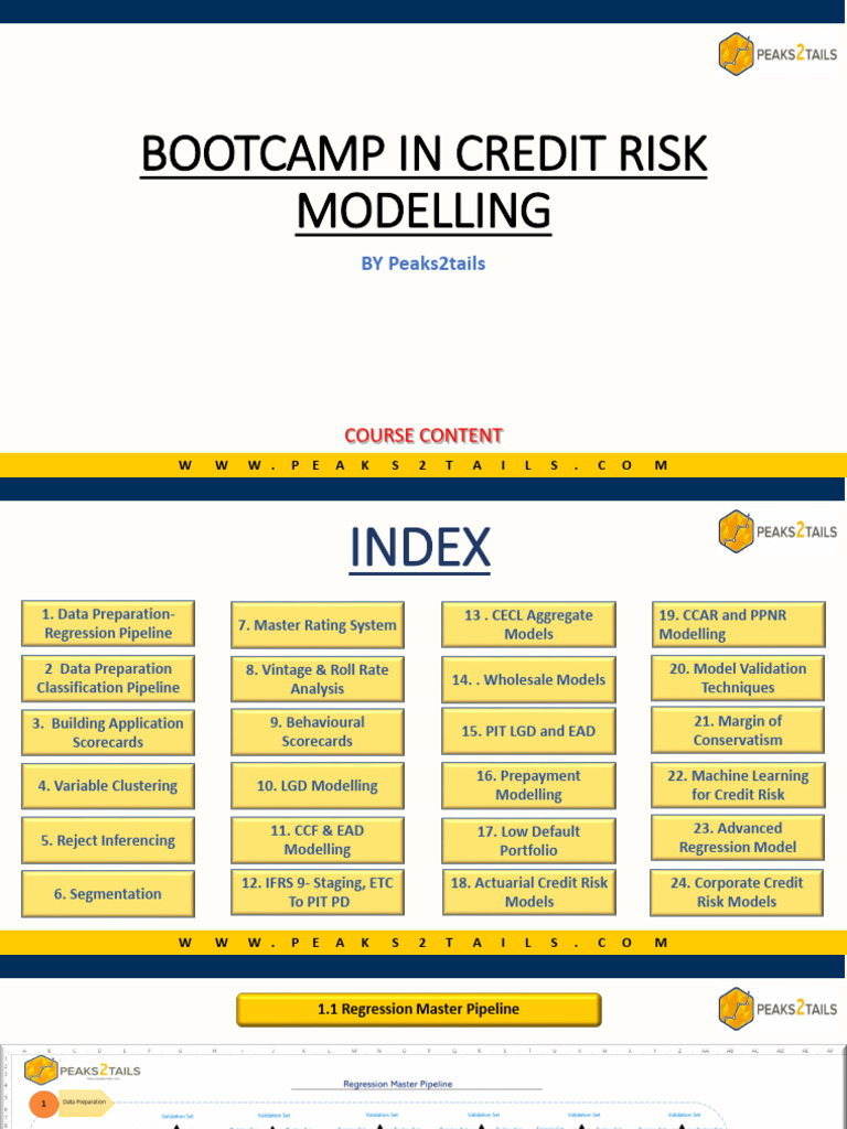 6632-Bootcamp in Credit Risk | PDF | Regression Analysis | Statistics
