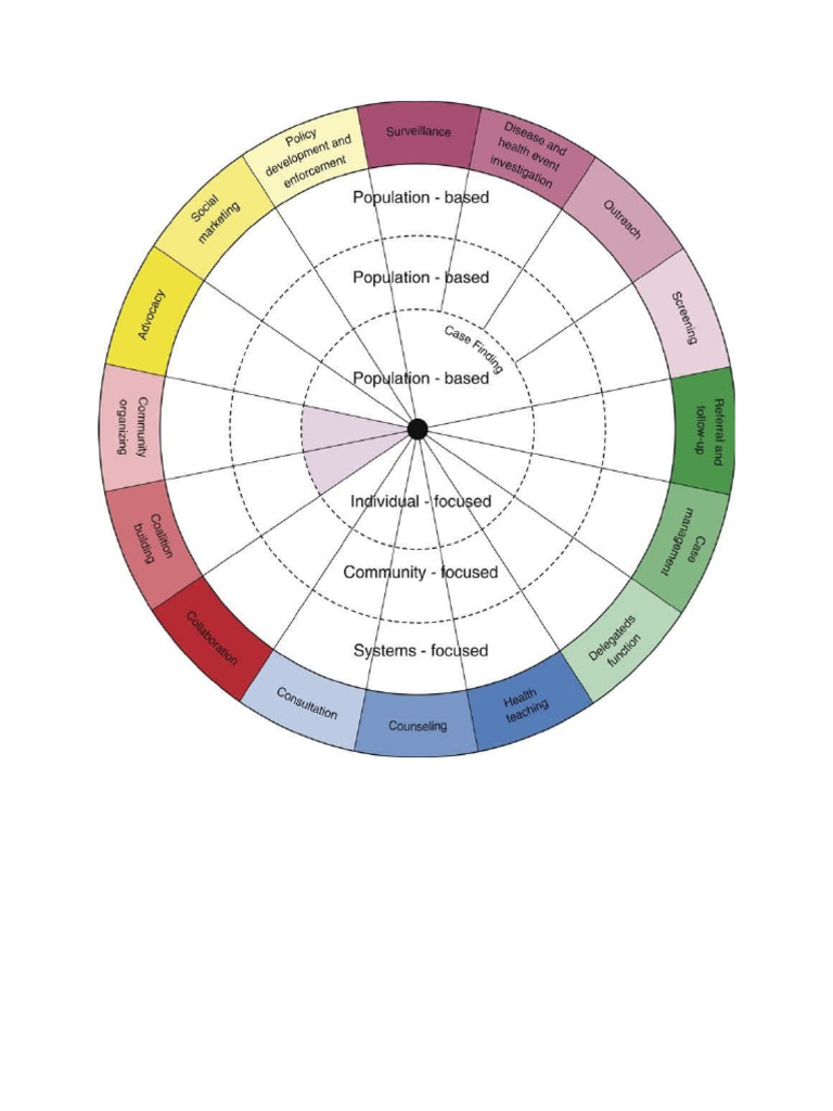 Public Health Nursing Invention Wheel | PDF