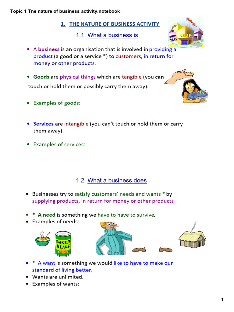 Topic 1 The Nature of Business Activity | PDF