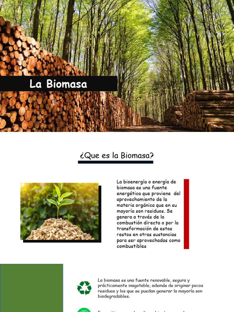 Biomasa | PDF