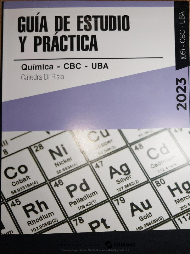 Guia Quimica Di Risio | PDF