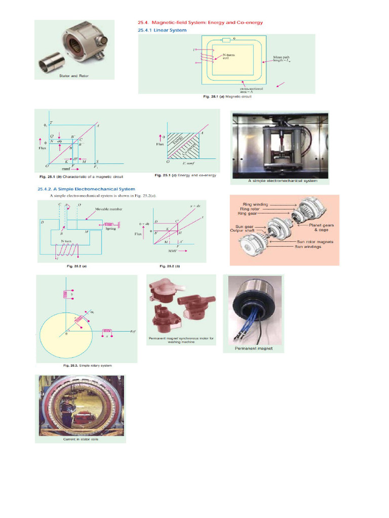 Chap 25 Notes | PDF