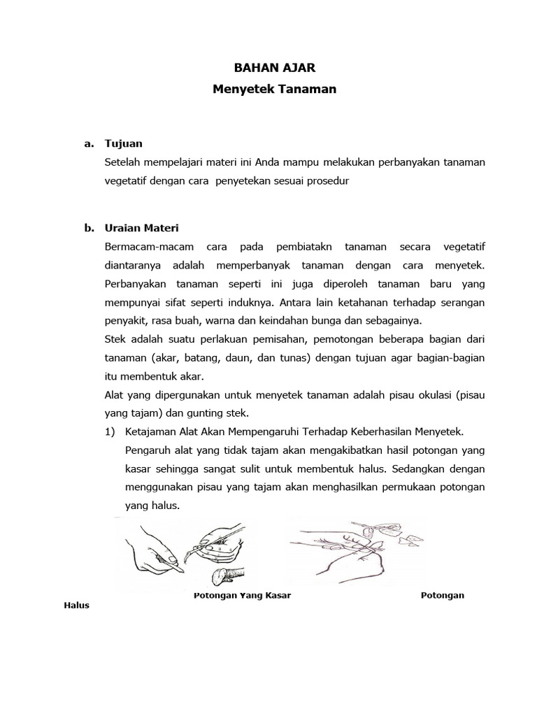 Bahan Ajar Menyetek Tanaman | PDF