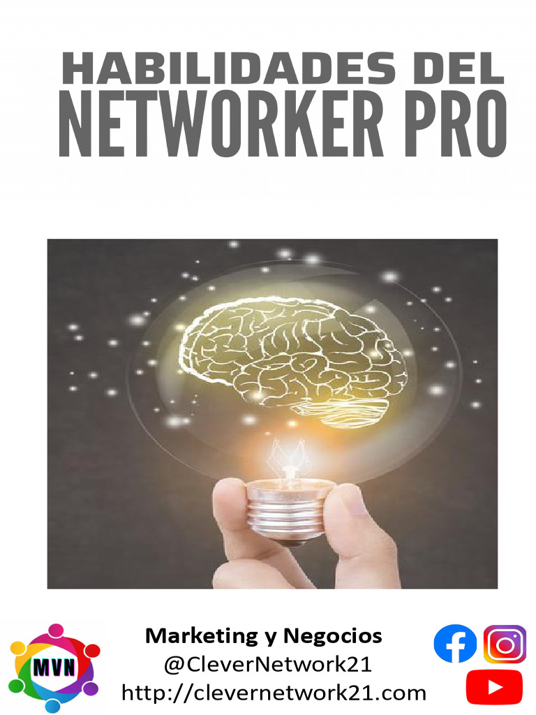 Habilidades Del Networker Pro | PDF