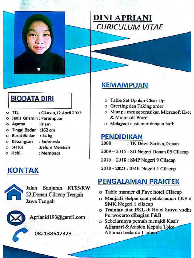 CV Dini Apriani - Compressed | PDF