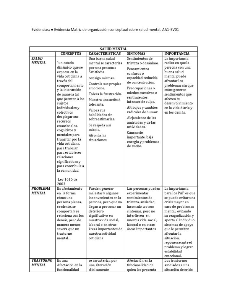 Matriz Organizacion de Conceptos Pap | PDF