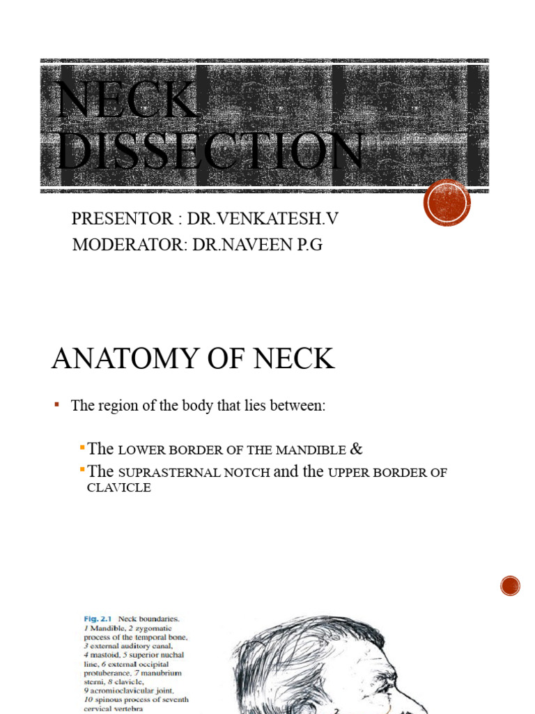 Modified Radical Neck Dissection Overview | PDF | Neck | Common Carotid ...