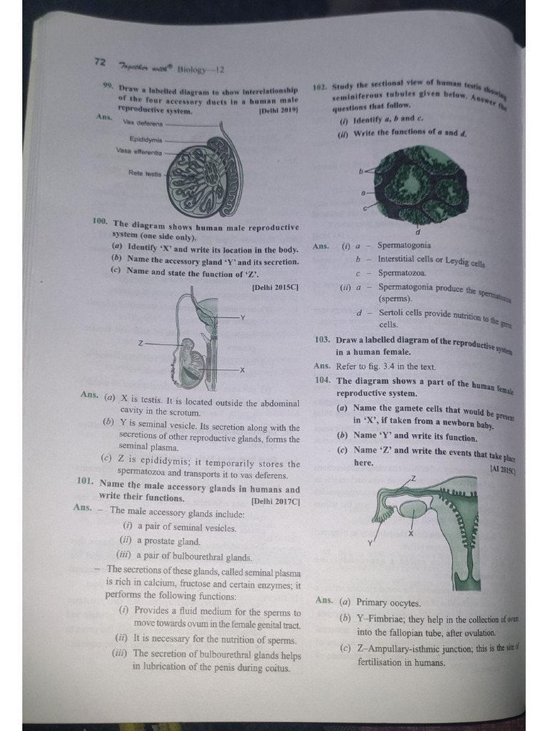 ch3 Bio | PDF