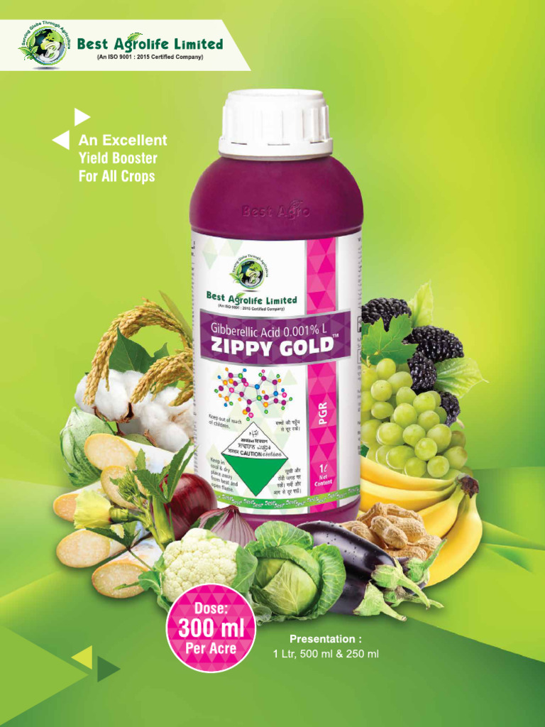Zippy Gold | PDF