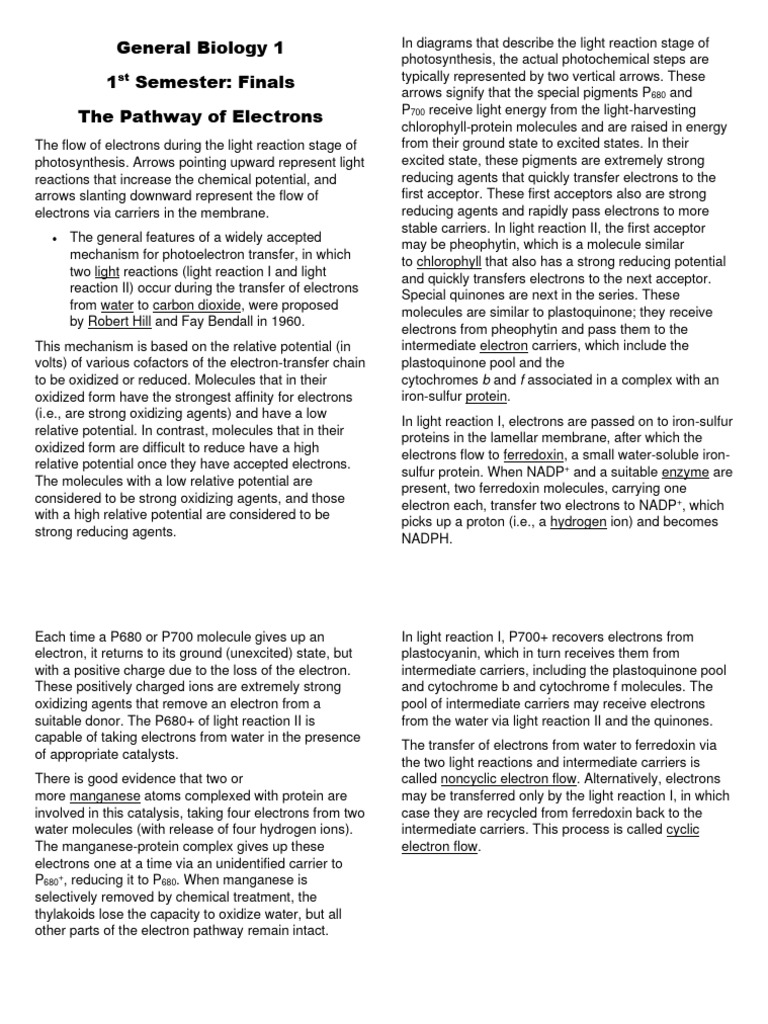 Biology Finals | PDF