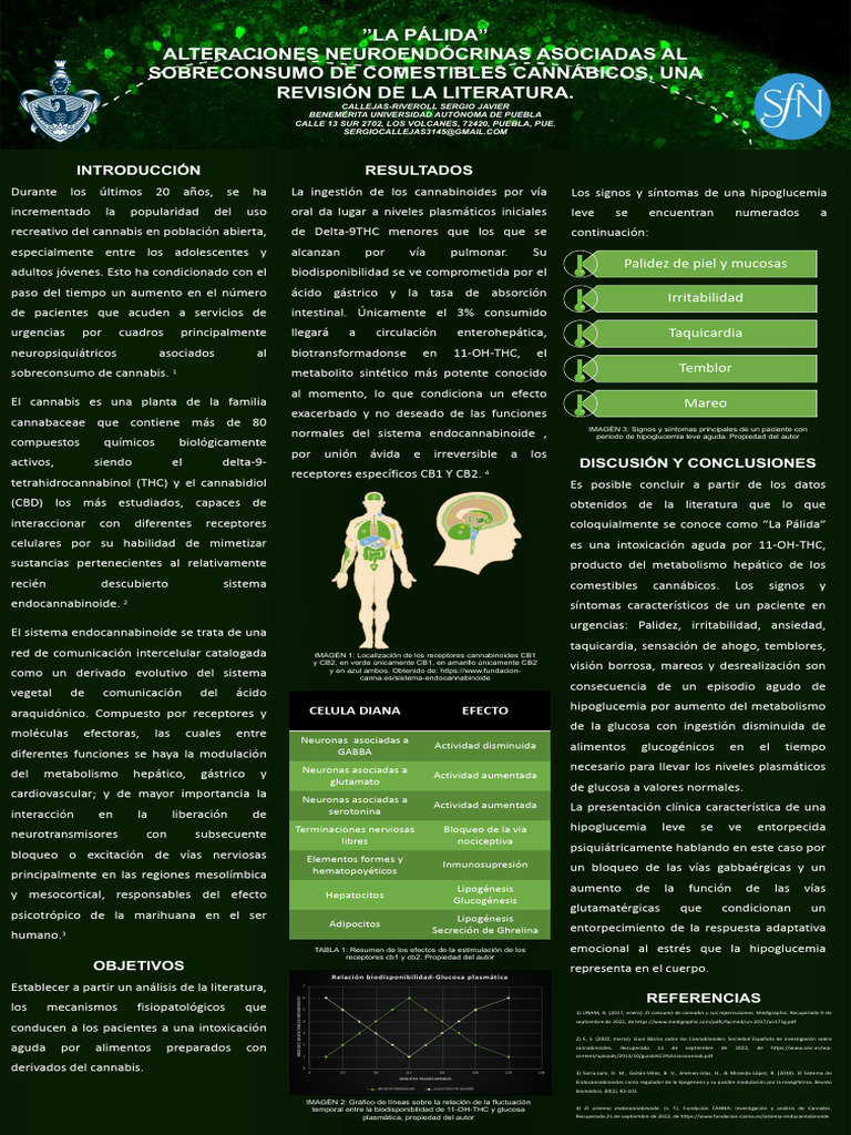 Cartel Neuro Final | PDF