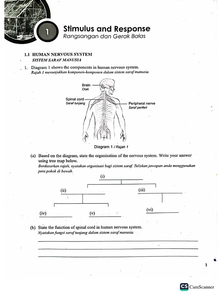 Form 3 Science Chapter 1 SAP | PDF Form 3 Science Chapter 1 SAP | PDF