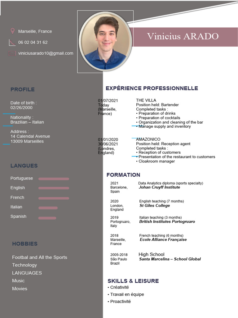 CV Vinicius Arado | PDF