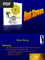 Safety Moment Heat Stress | PDF